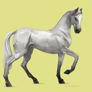 Howrse.cz :: O howrse